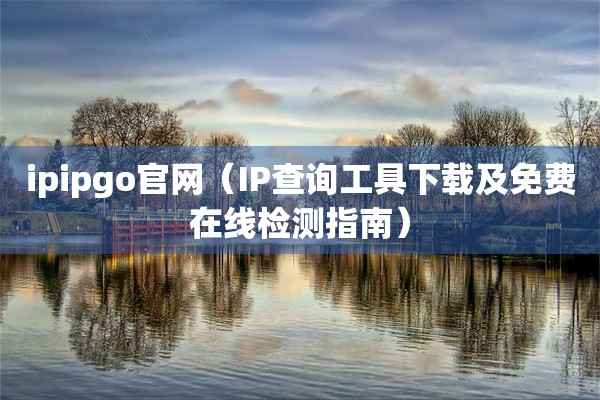 ipipgo官网（IP查询工具下载及免费在线检测指南）|IP代理网