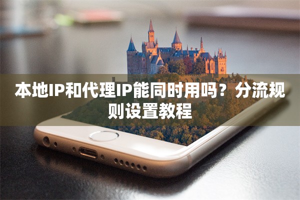 本地IP和代理IP能同时用吗？分流规则设置教程|IP代理网