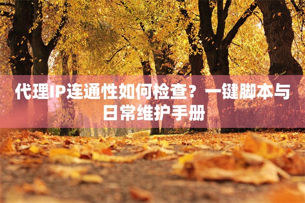 代理IP连通性如何检查？一键脚本与日常维护手册|IP代理网