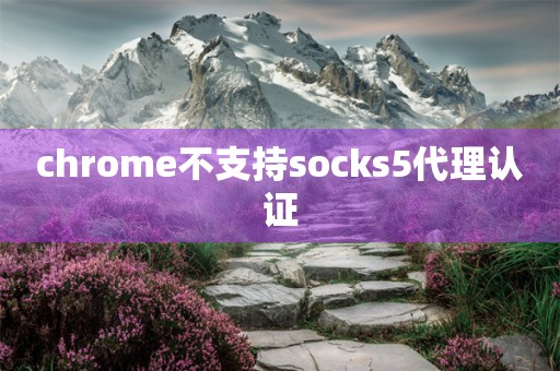 chrome不支持socks5代理认证|IP代理网
